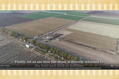 Virtual Workshop and Demonstration on Integrated Management of Straw ...